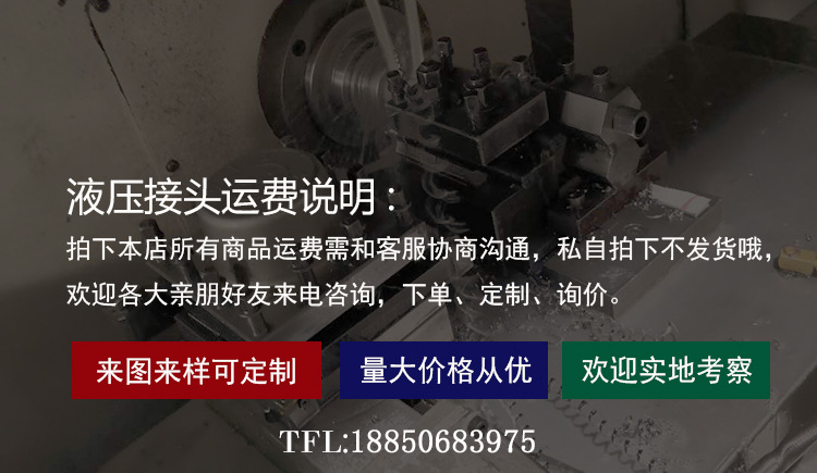 1CB-WD 1DB永华标准卡套式管接头直通ED圈密封液压件油管过渡接头-阿里巴巴