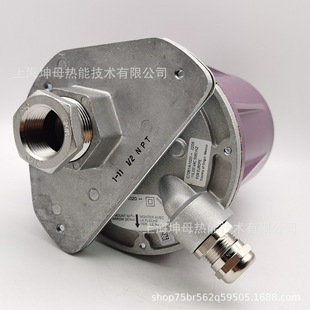 Honeywell C7061A1020霍尼韦尔火焰探测电眼-阿里巴巴