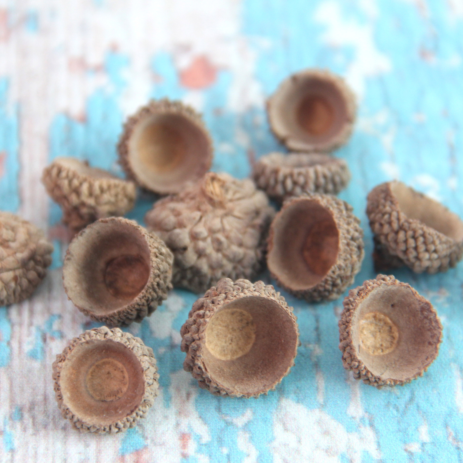 7WLO acorn shell fruit decoration diy handmade kindergarten ...