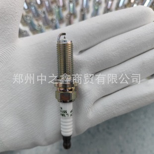 TORCH LD8RCIP/OE224/2036012300/5511695670/2036014400-阿里巴巴