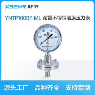 YNTP-100BF 全不锈钢螺纹式隔膜压力表 法兰耐震不锈钢隔膜压力表-阿里巴巴