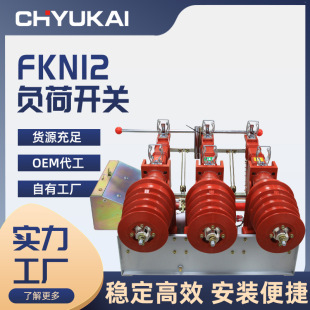 户内高压负荷开关FKN12-12RD/63 125带接地熔断器组合10KV智能-阿里巴巴