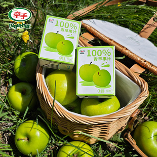 【工厂直发】牵手青苹果汁100%纯果汁饮料200ml*6盒整箱批发-阿里巴巴