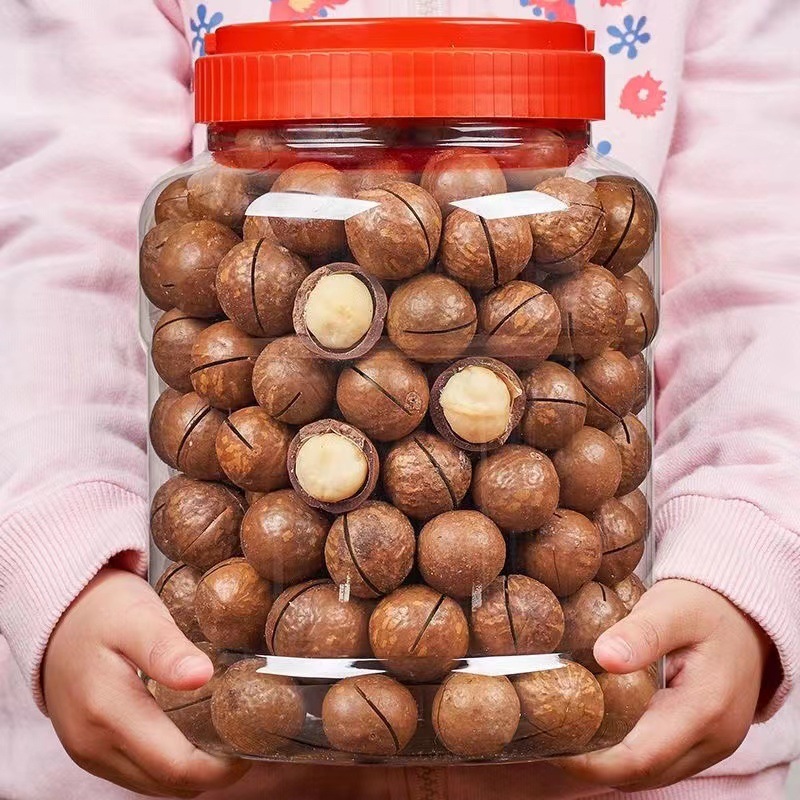 [Large Particles] Hawaiian Fruit Nuts 500g Creamy Summer Fruit Dried ...