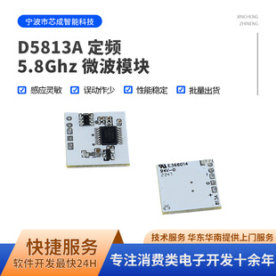 D5813A 定频 5.8Ghz雷达微波模块-阿里巴巴