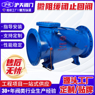 沪天阀门球墨铸铁微阻缓闭止回阀升降重锤油缸止回阀HH44X DN1000-阿里巴巴