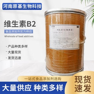维生素B2食品级 营养强化剂 维生素B2 核黄素 VB2 99% 百勤/巨龙-阿里巴巴