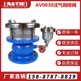 GA注气微排阀AV0830注气微排阀真空破坏阀空气阀排气阀-阿里巴巴