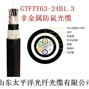 太平洋光缆 GYFTY63-24B1.3 双护套非金属加强型防鼠光缆 12/24芯-阿里巴巴