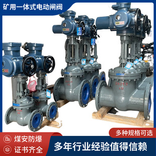 全开智能一体化电动闸阀Z941H-40C DN250矿用防爆型 带485通讯-阿里巴巴