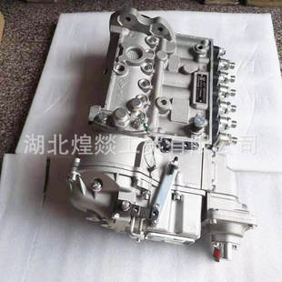 东风康明斯6CT8.3燃油泵/3926881/3938372/3283279/3283278-阿里巴巴