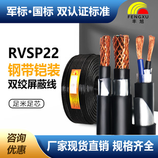 RVSP22钢带铠装纯铜双绞屏蔽RS485通讯电缆信号通讯控制电线电缆-阿里巴巴