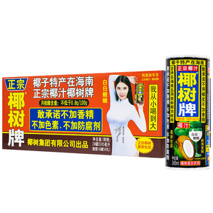 椰树牌椰汁245ml*24罐整箱装椰子汁植物蛋白椰奶纸盒包装年货饮料-阿里巴巴