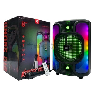 KTS工厂批发 KTS-1766 户外便携式 8寸RGB灯蓝牙音箱带麦克风-阿里巴巴