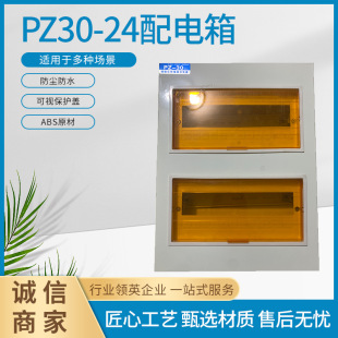 PZ30-24标准配电箱明装暗装接地使用回路箱空开箱弱电箱-阿里巴巴
