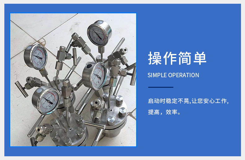 实验室磁力搅拌不锈钢反应釜TGYF-C小型台式不锈钢高压反应釜变频-阿里巴巴