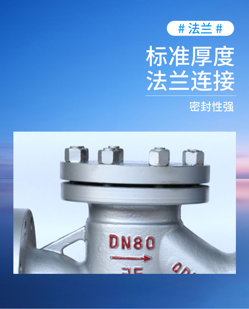 铸钢法兰升降式止回阀H41H-25C 美标铸造止回阀WCB 升降式止回阀-阿里巴巴