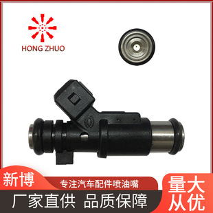适用于标致206 雷诺1.4 雪铁龙C2C3喷油嘴01F002A 0280156357-阿里巴巴