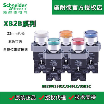 施耐德XB2BW33B1C金属按钮开关 22mm绿色带灯复位24v控制按钮开关-阿里巴巴