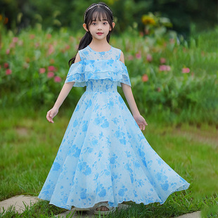 女童碎花连衣裙夏季2025新款小女孩雪纺夏款大童洋气童装儿童裙子-阿里巴巴