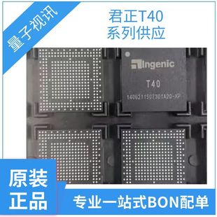 T40 T40N T40XP T40A 北京君正SOC芯片 全新原装 系列供应-阿里巴巴