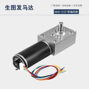 STF-GW4058-31ZY涡轮涡杆直流24V减速电机 磁性霍尔编码器电机-阿里巴巴