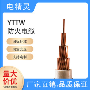 YTTW柔性矿物质电缆绝缘电缆 纯铜足米无氧铜芯云母带 防火电缆-阿里巴巴