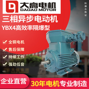 厂家定制YBX4防爆电机二级能效隔爆型电机高效三相异步电动机定做-阿里巴巴