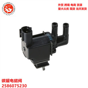汽车配件现货跨境碳罐电磁阀 2586075230 2586028060 2586075100-阿里巴巴