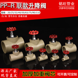 灰白PPR截止阀闸阀 20 25 32 40 50 63 75 90 110ppr阀门-阿里巴巴