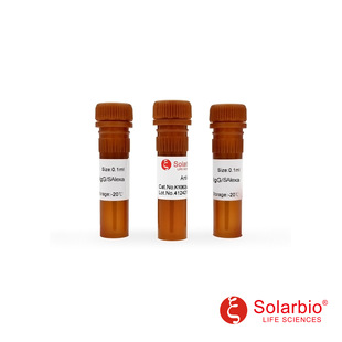 K1063R-AF568 SAlexa Fluor 568标记的BSA 科研用-阿里巴巴