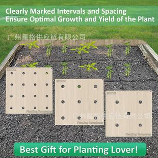 Seed Planting Template 植物种植套装户外种植三件套植物装饰-阿里巴巴