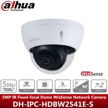 Dahua海外版 5MP Dome WizSense Network Camera IPC-HDBW2541E-S-阿里巴巴