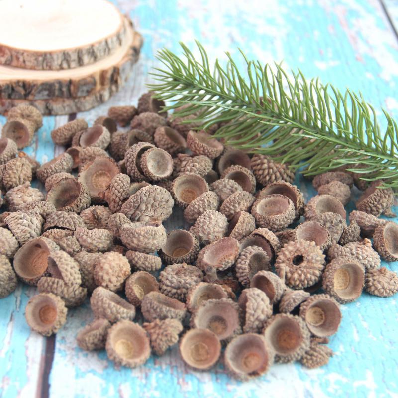 7WLO acorn shell fruit decoration diy handmade kindergarten ...