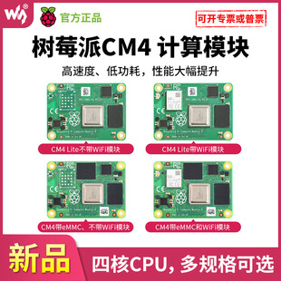树莓派计算模块核心板Compute module 4 CM4可扩展wifi蓝牙模块-阿里巴巴