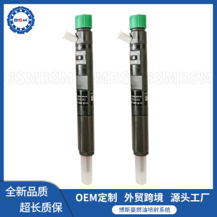 28288104 278901160106 共轨喷油器总成 适用于德尔福-阿里巴巴