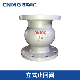 止回阀 立式止回阀 铸钢止回阀 H42H-16C/H42W-16P 不锈钢止回阀-阿里巴巴
