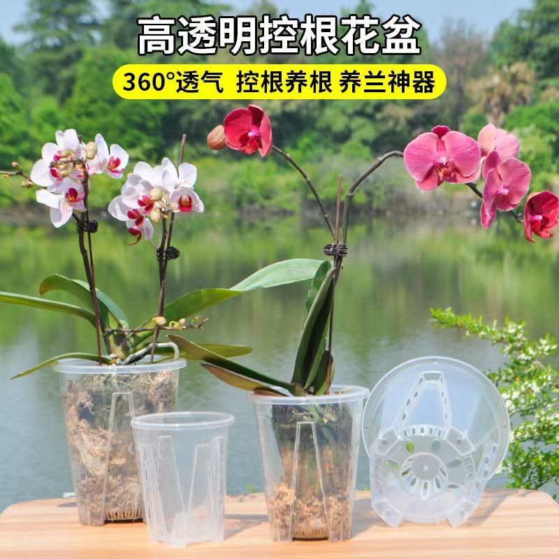 Special Flower Pot for Phalaenopsis Air Column Transparent Castle Peak ...