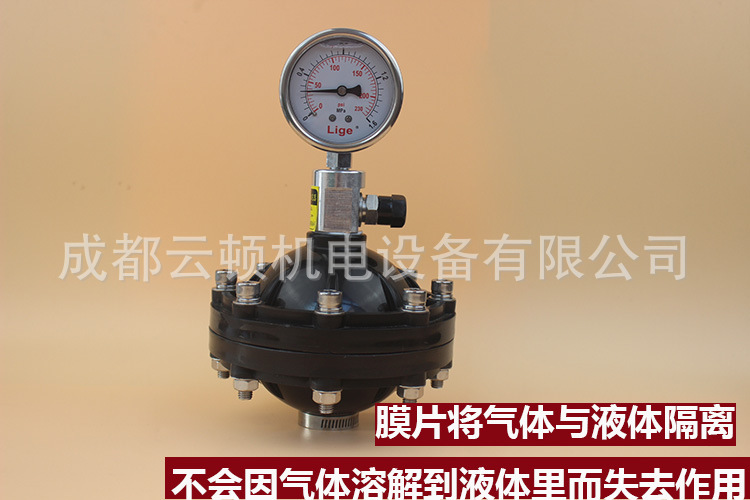 膜片式脉动阻尼器 隔膜式脉冲阻尼器 阻尼器DN15-50不锈钢/PVDF-阿里巴巴