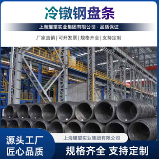 厂家供应SWRCH22A冷镦钢线材 SWRCH35A冷镦钢盘条 球化退火精抽线-阿里巴巴