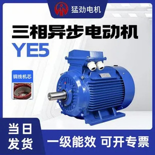 一级能效电动机 YE5系列 75kw 1.1kw 1.5kw 22kw 30kw 55kw 电机3-阿里巴巴