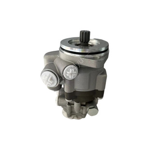 转向泵1687826 8695 955 139、带燃油泵 1797652 适用于达夫-阿里巴巴