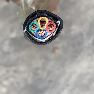 ZR-KVVP2-22铠装控制屏蔽电缆2 3 4芯*16 10平方电厂控制线电源线-阿里巴巴