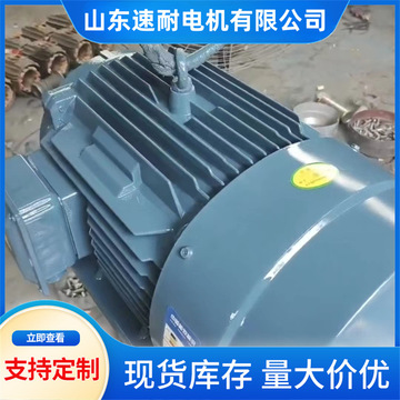 YE3 YE4系列 三相异步电动机 国标纯铜全新电机-阿里巴巴