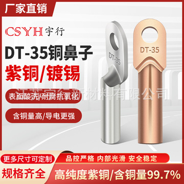 DT镀锡本色铜鼻子DT-35平方铜鼻子接线端子线耳线鼻子非标铜-阿里巴巴