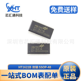 HT1621B HT1621贴片 SSOP-48 LCD动态液晶屏显示驱动IC 原厂现货-阿里巴巴