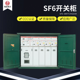 SF6开关柜DFW 带开关电缆分接箱SF6户外配电成套开关柜-阿里巴巴