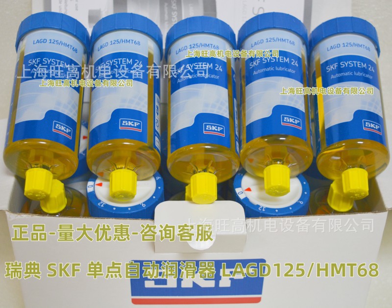 批发SKF自动注油器LAGD125/WA2 HMT68 HQ2 EM2 HB2 FG2 FP2 FM100-阿里巴巴