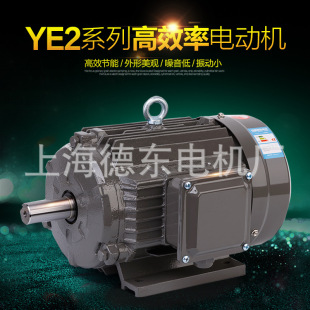 上海德东 YE2 YE3 132M2-6 5.5KW 三相异步电动机 马达-阿里巴巴