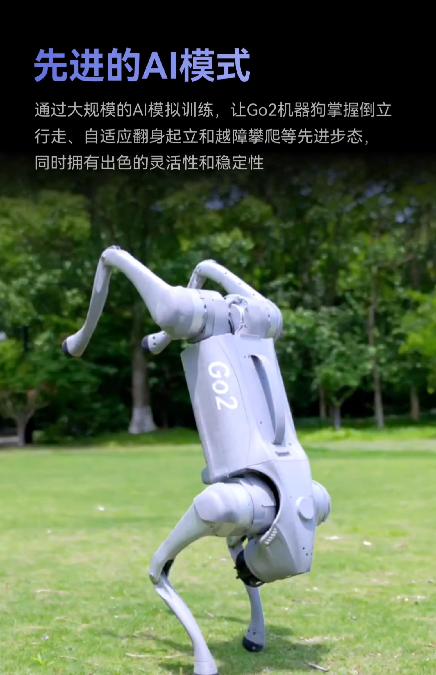 宇树Unitree Go2 PRO语音AI大模型机器狗 智能仿生陪伴四足机器狗-阿里巴巴